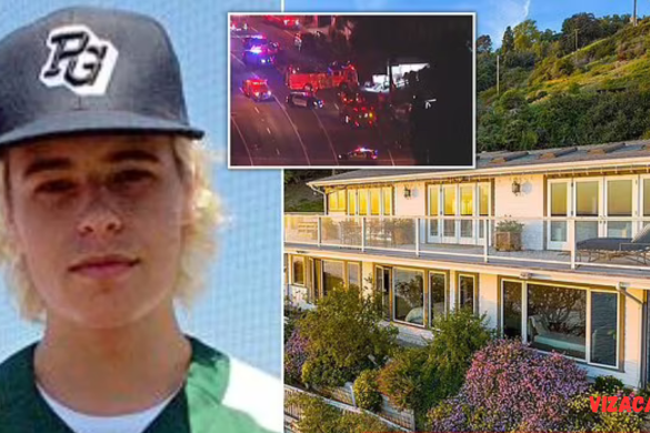 Manuela Allen Julius Mullins Murder Case: Fact Findings - Vizaca